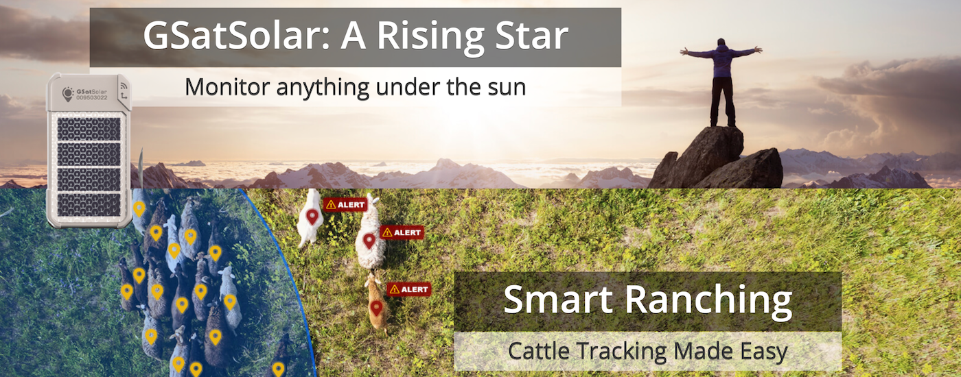 GSE – Wintec Solutions