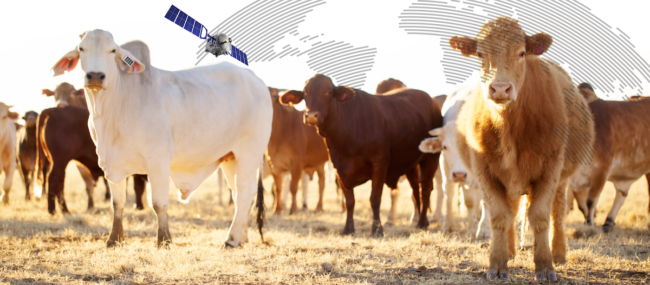 Innovative Solutions – Wintec Solutions